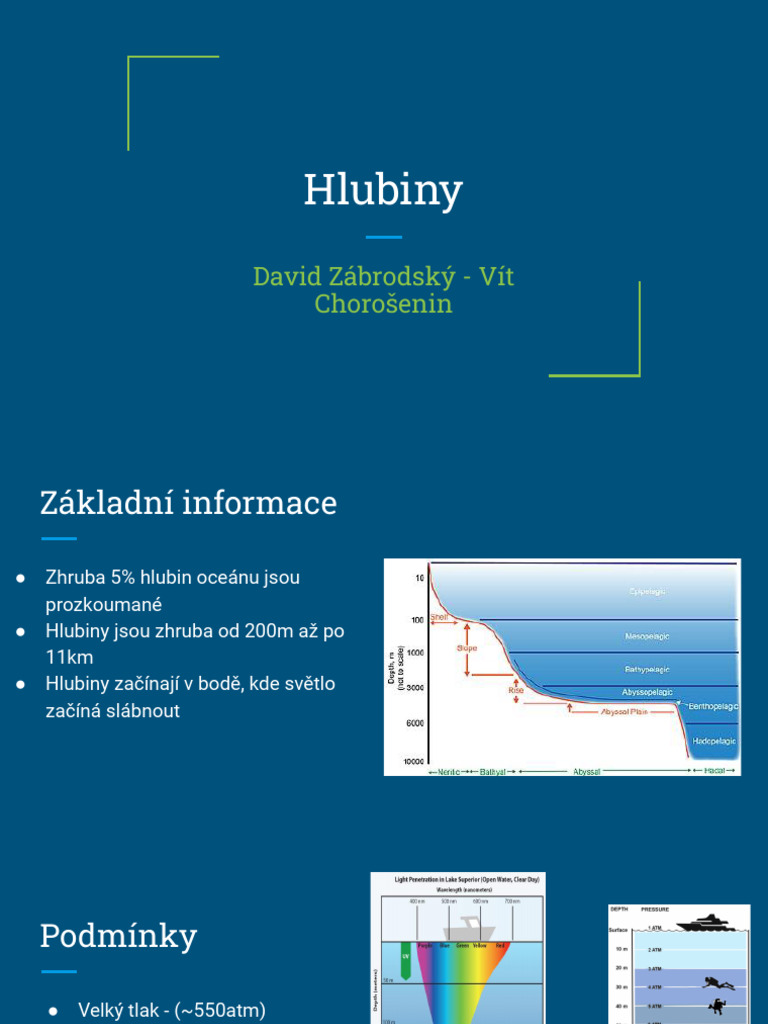 Prezentace - Biologie | PDF