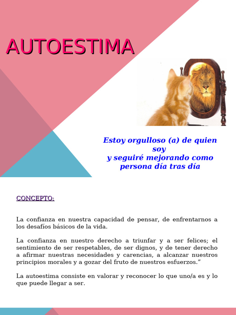Auto Estim A | PDF