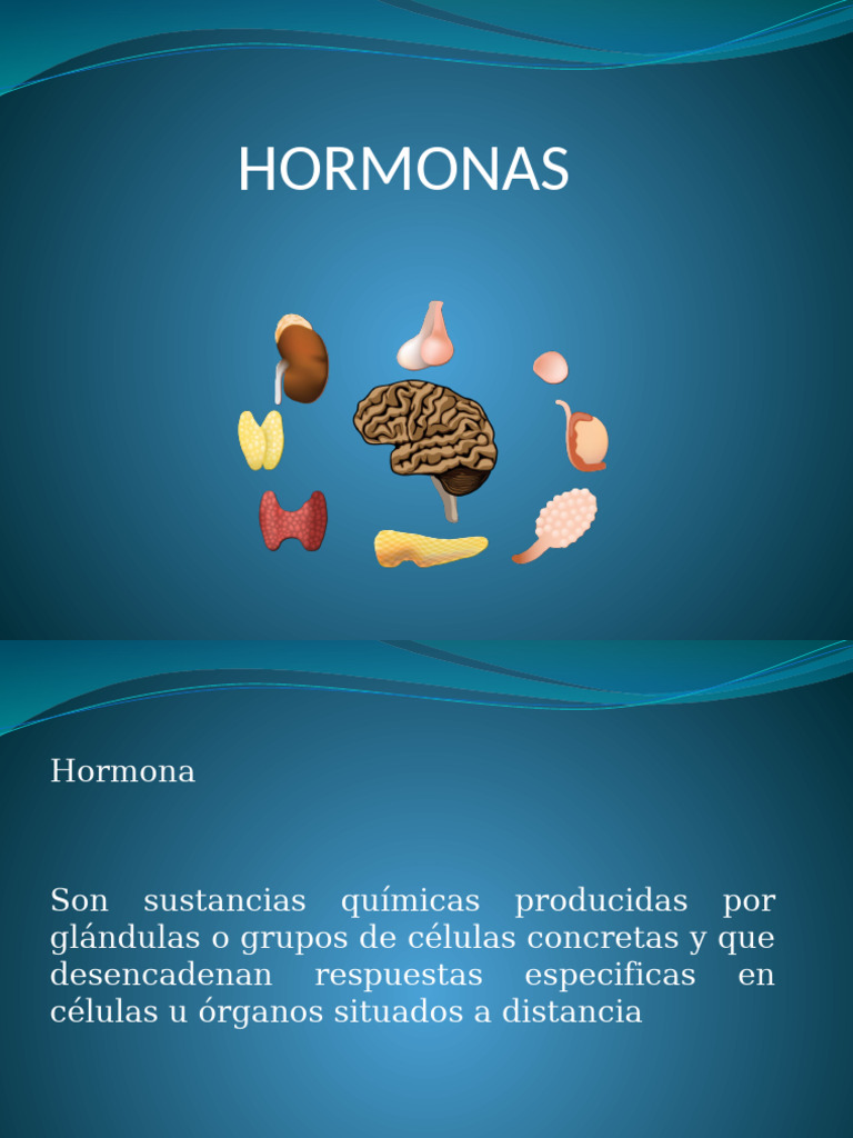 Hormonas 2 | PDF