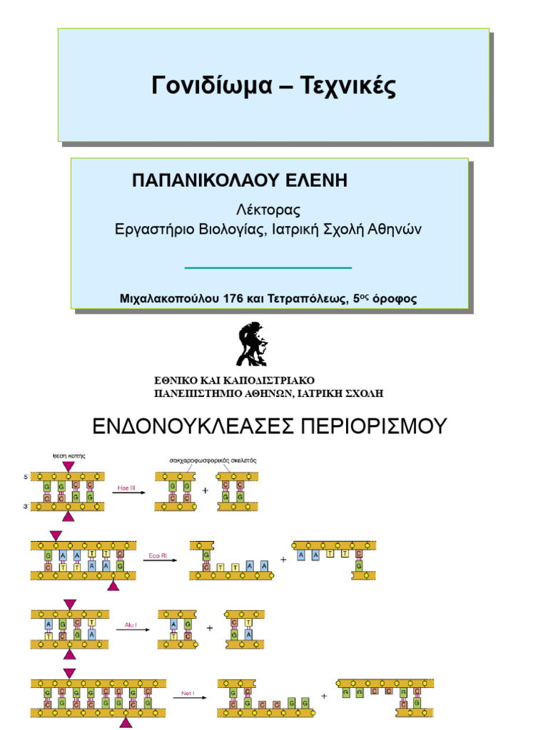 ΤΕΧΝΙΚΕΣ | PDF