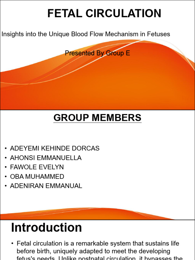 FETAL CIRCULATION | PDF
