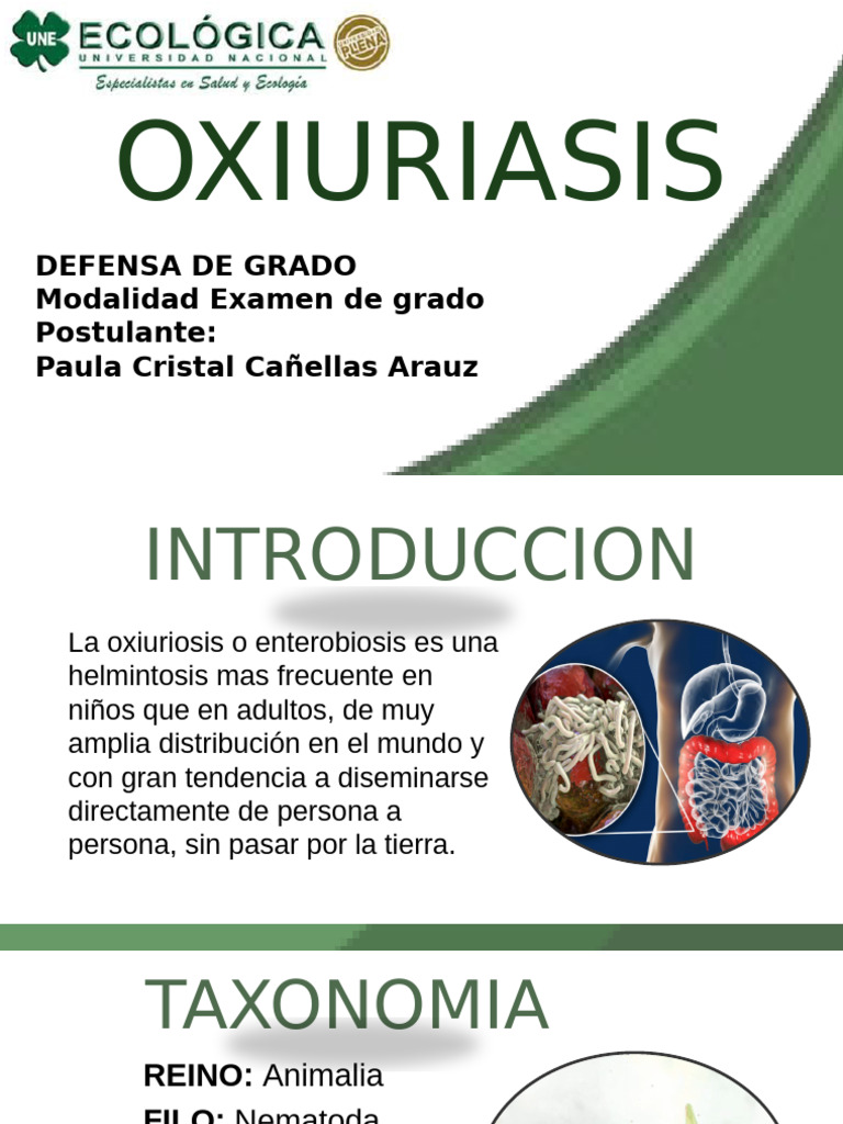 Oxiuriasis Defensa | PDF
