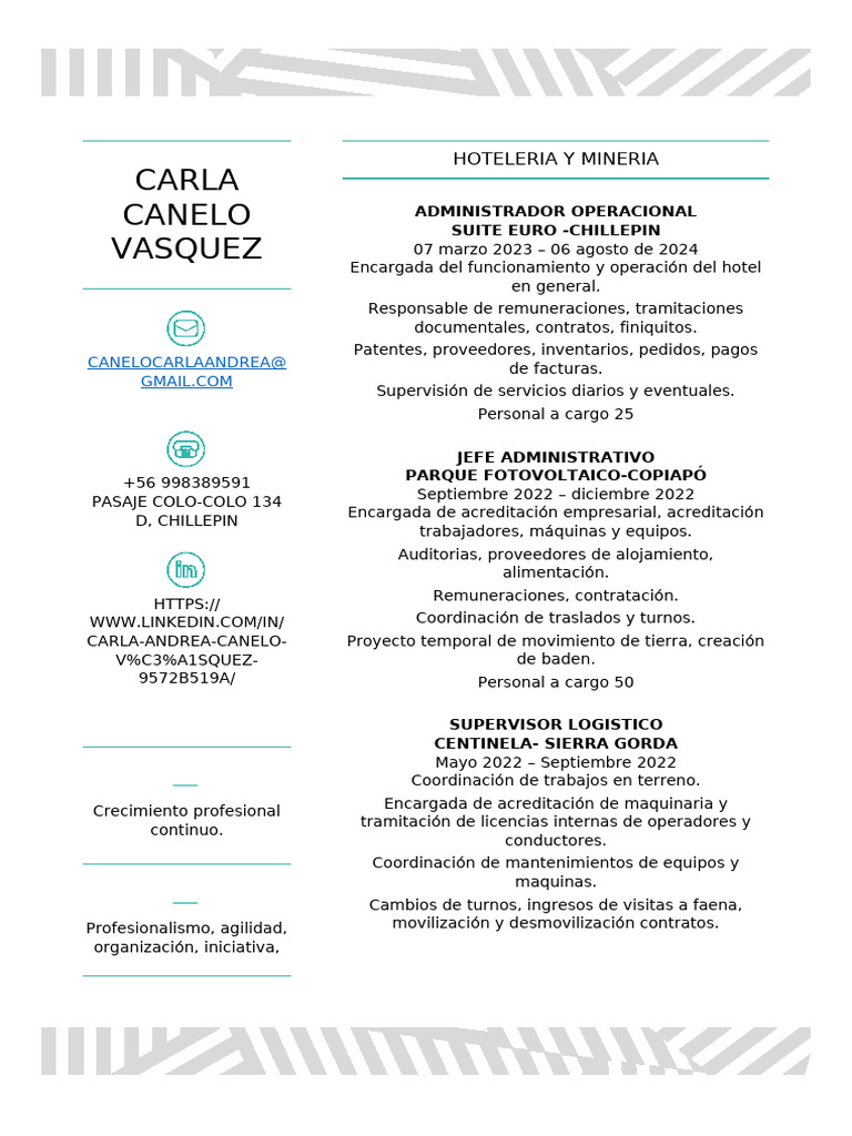 Formato Curriculum | PDF