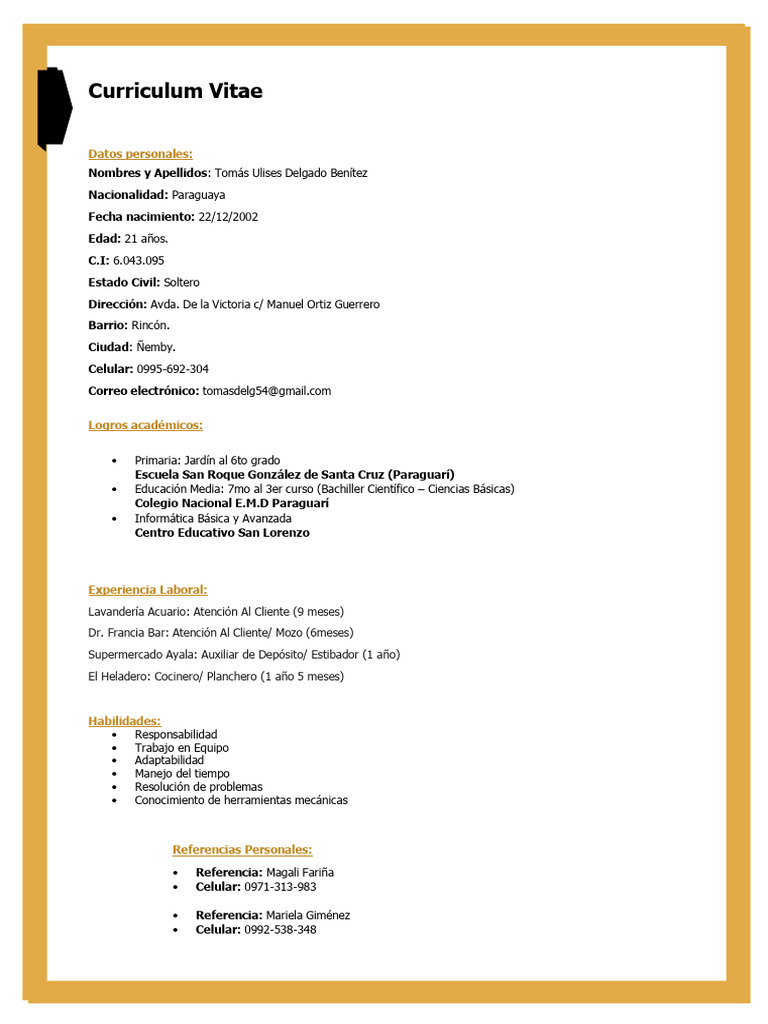 Curriculum Vitae - Tomas Delgado | PDF