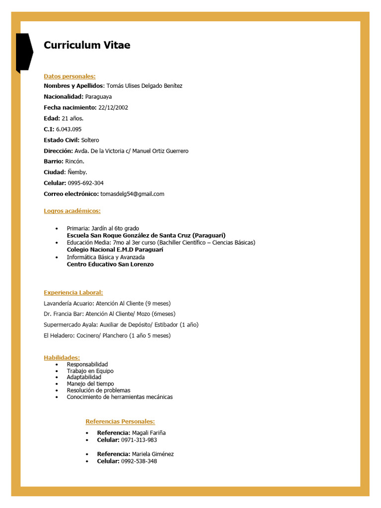 CV - Tomas Delgado | PDF