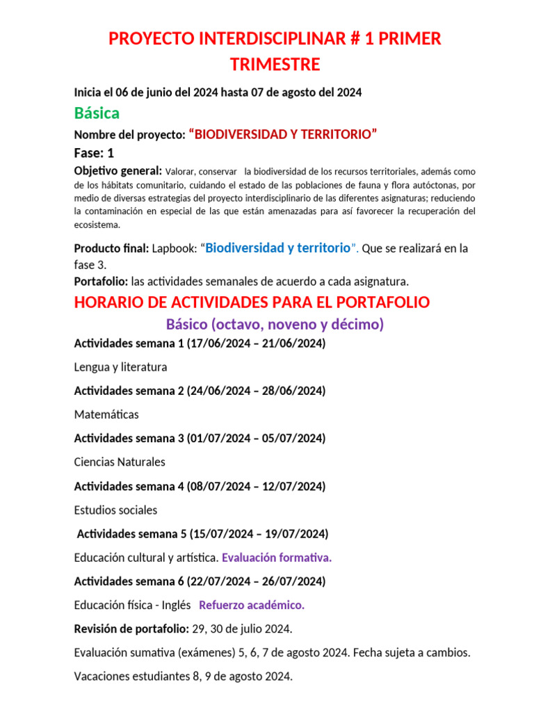 Proyecto Interdisciplinar 2024 Fase 1 | PDF