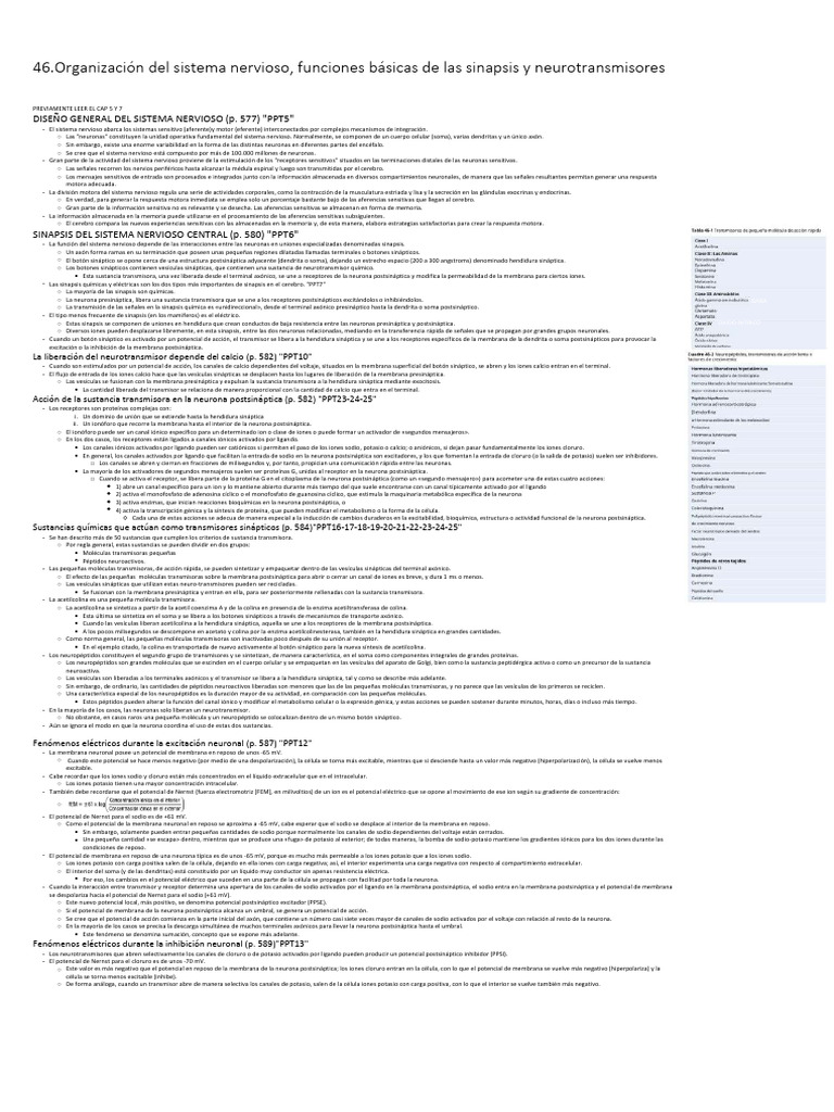 Anización Del Sistema Nervioso, Funciones Básicas de Las Sinapsis y Neurotransmisores | PDF ...
