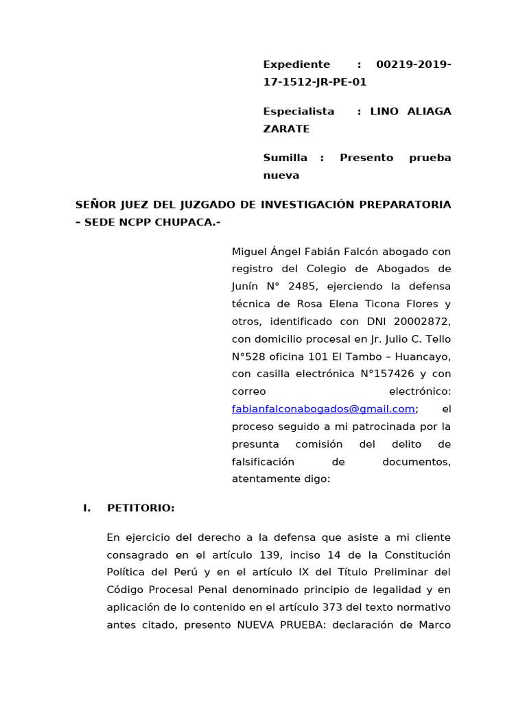 Solicitud de Nueva Prueba | PDF