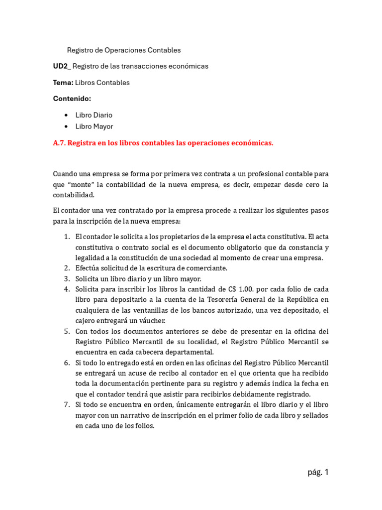 Guía de Los Libros Contables | PDF