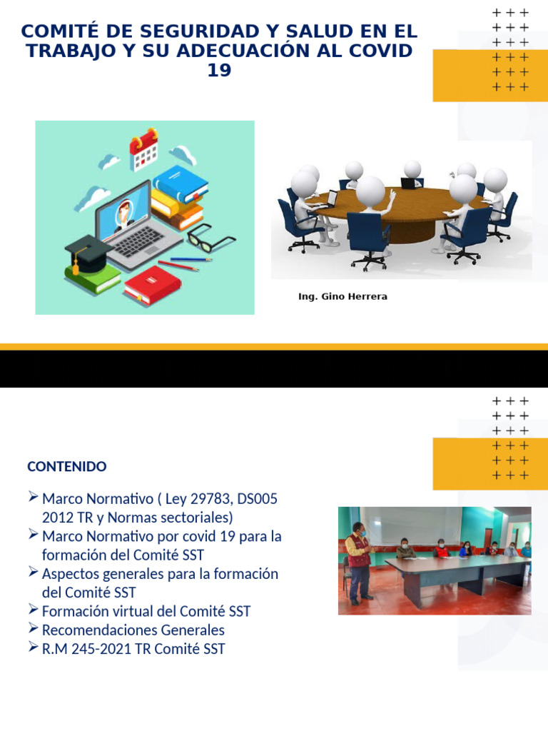 Comité de Seguridad y Salud en el Trabajo 2024 | PDF