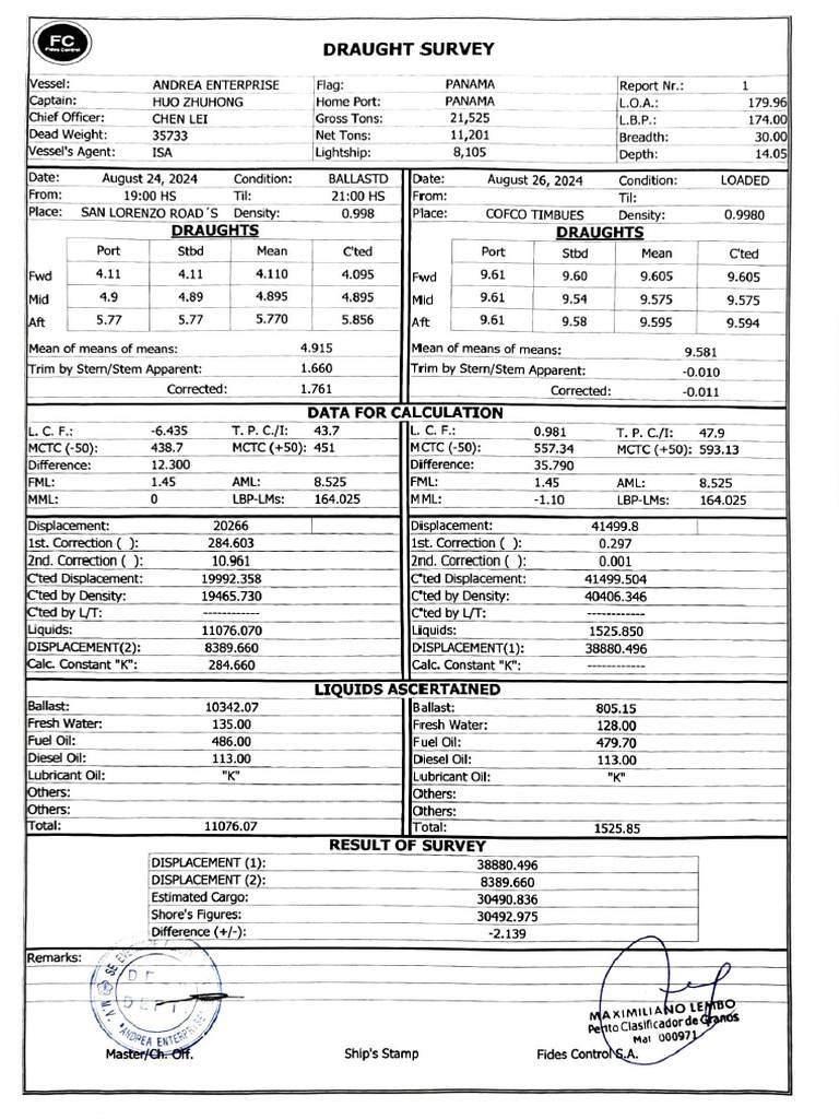 Andrea Enterprise Draft Survey Final - 20240826 | PDF