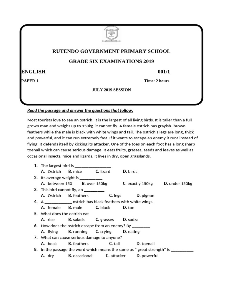 Grade 6 English Paper 1 | PDF