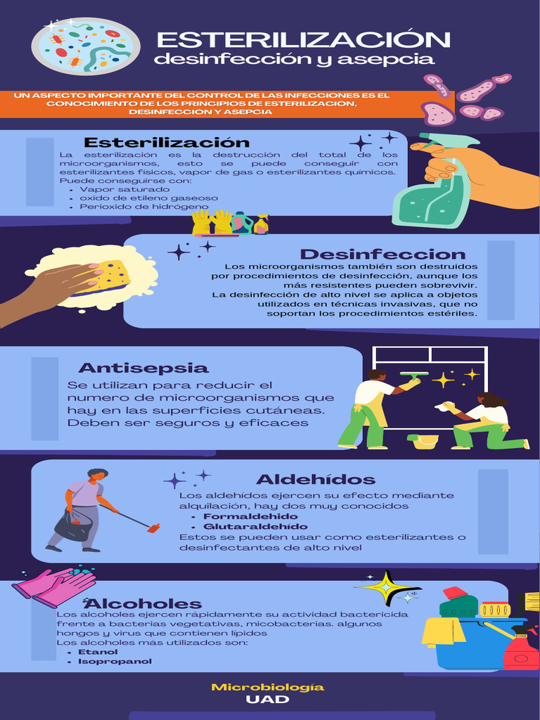 Infografia Cap 3 | PDF