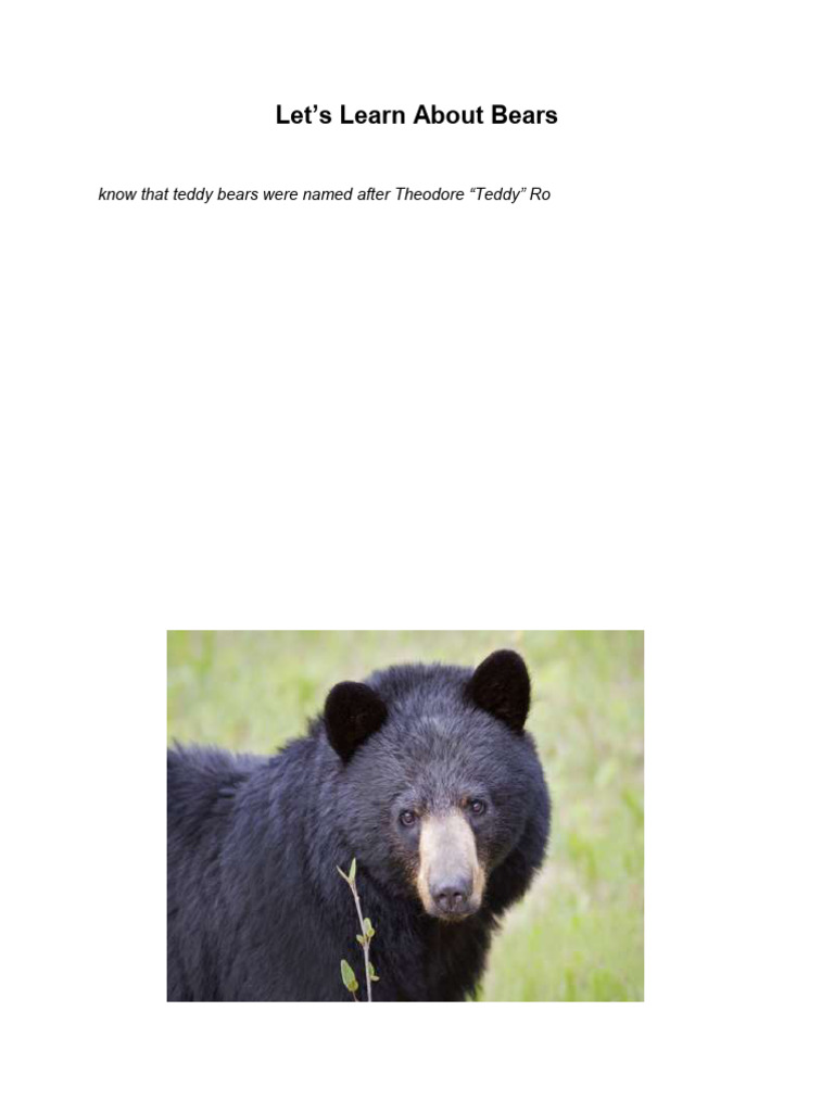 Lets Learn About Bears | PDF | Bears | Home & Garden
