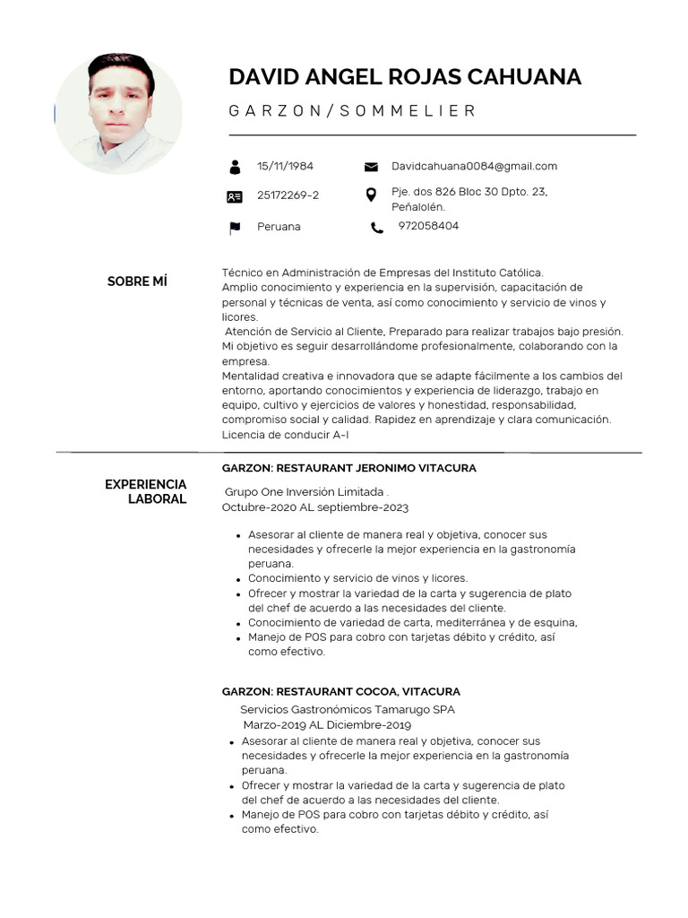 Currículum David Angel Rojas Cahuana | PDF