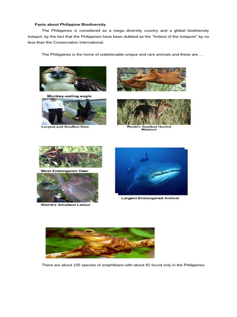 Facts About Philippine Biodiversity | PDF