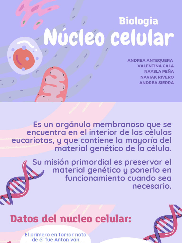 Nucleo Celular | PDF