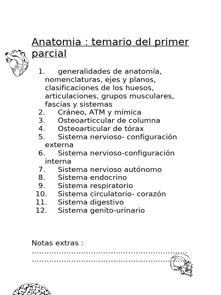 Anatomia Temario Del Primer Parcial | PDF