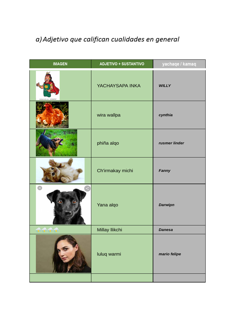 Practica Adjetivos | PDF
