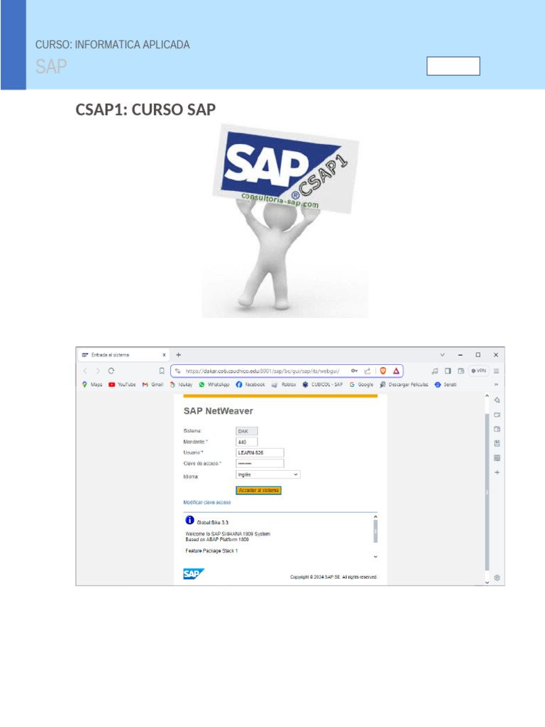 Manual de SAP Provicional 2024 | PDF