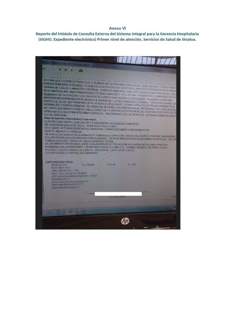 Anexo No. VI Reporte SHIGO | PDF