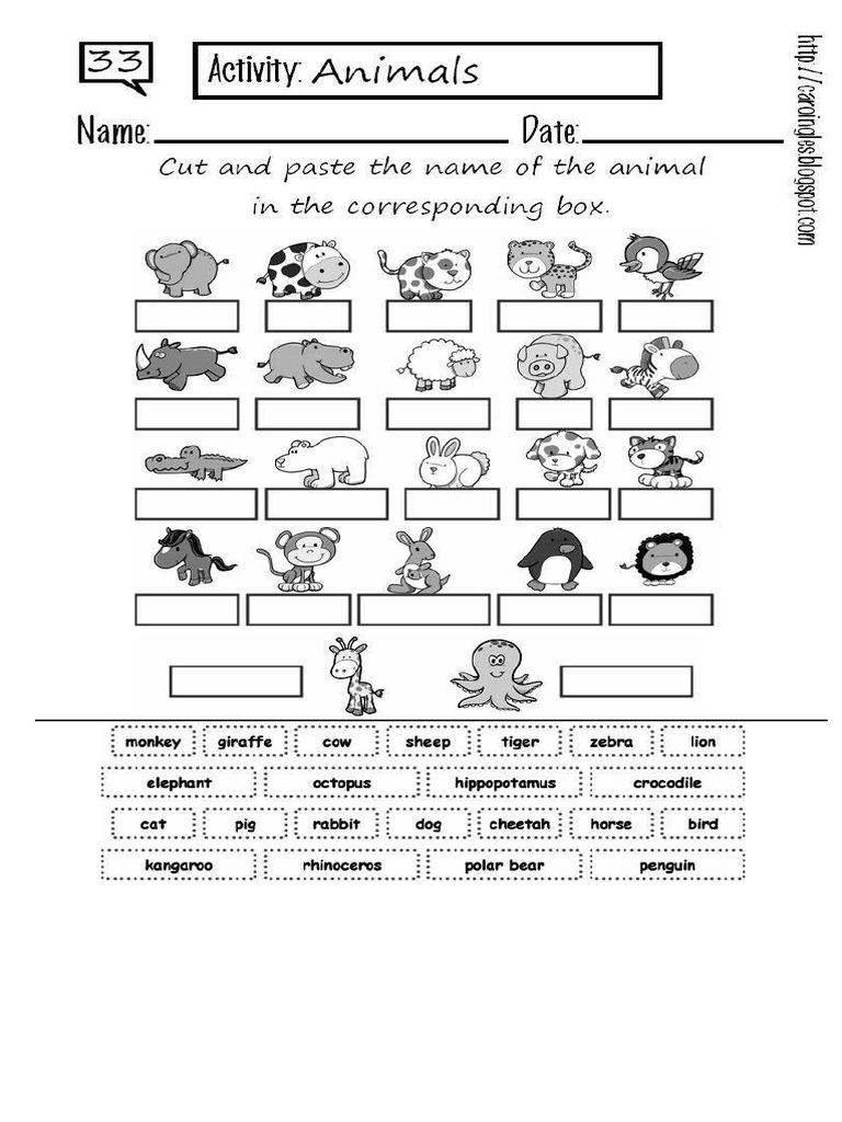 Samu Cat | PDF