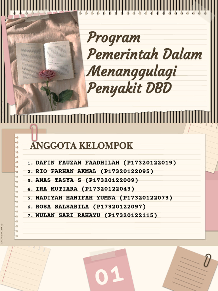 Program DBD Kel 3 | PDF | Medical Specialties | Wellness