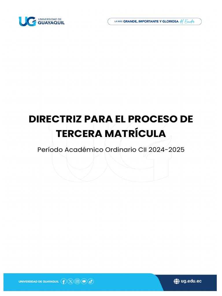 Directriz para El Proceso de Tercera MatrÍcula Per 240822 095413 | PDF