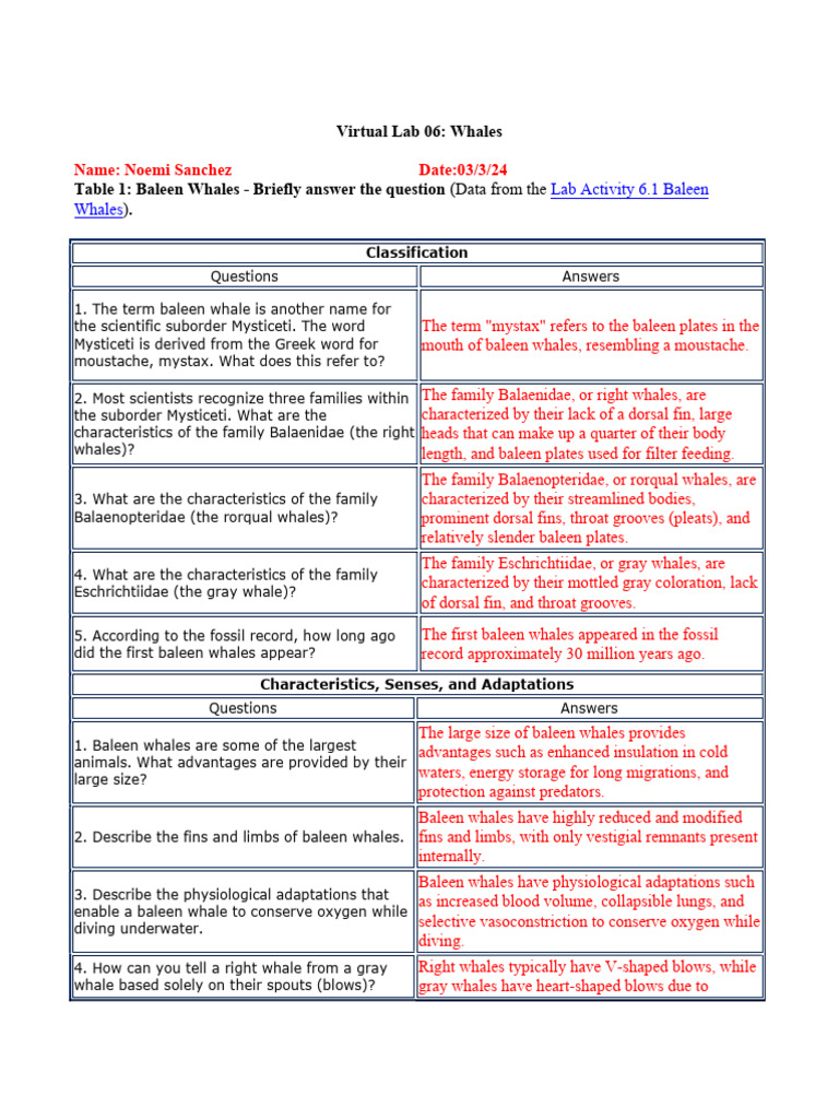Lab 6 Answer Sheet | PDF
