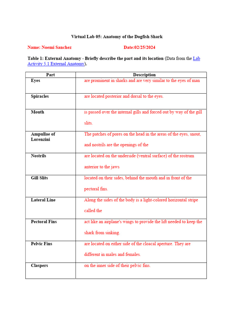 Noemi Sanchez Lab Worksheet3 | PDF
