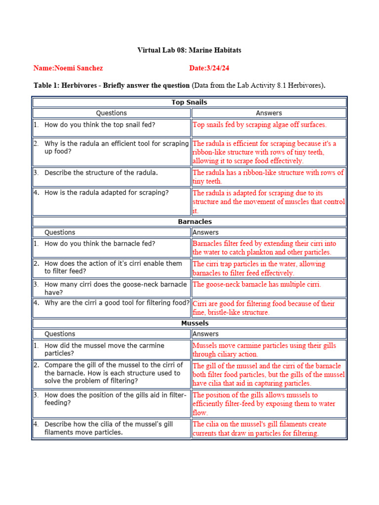 Lab 8 Answer Sheet | PDF