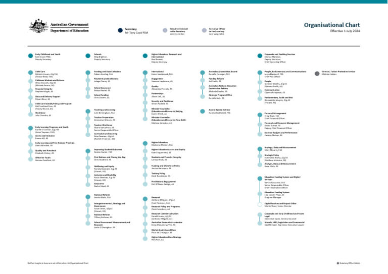 DE Organisation Chart Tos Dos | PDF