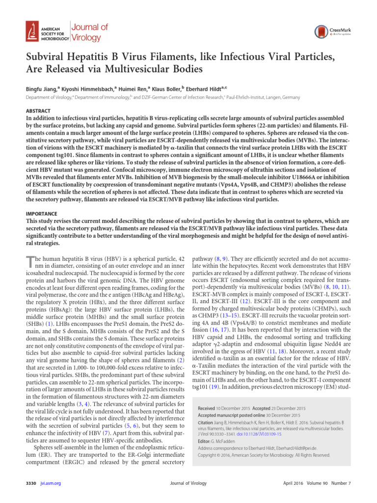 Jiang Et Al 2016 Subviral Hepatitis B Virus Filaments Like Infectious ...