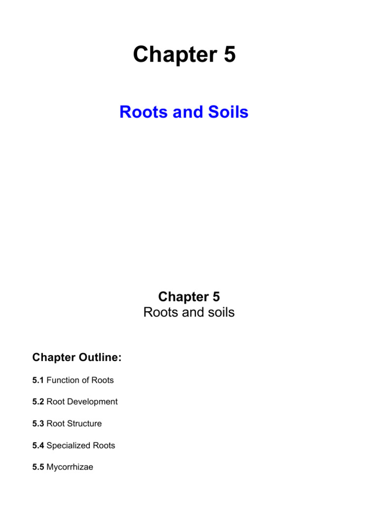 Chapter 5 Science Plant | PDF
