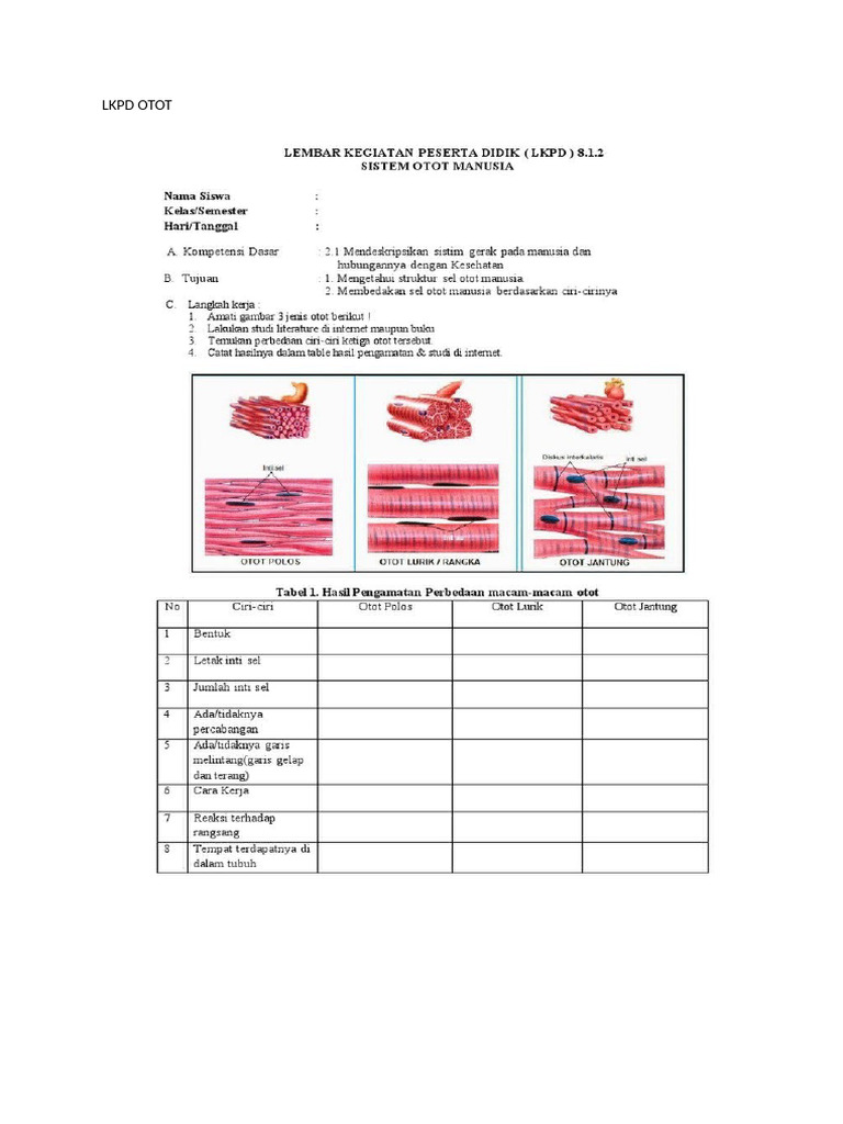 LKPD Otot | PDF