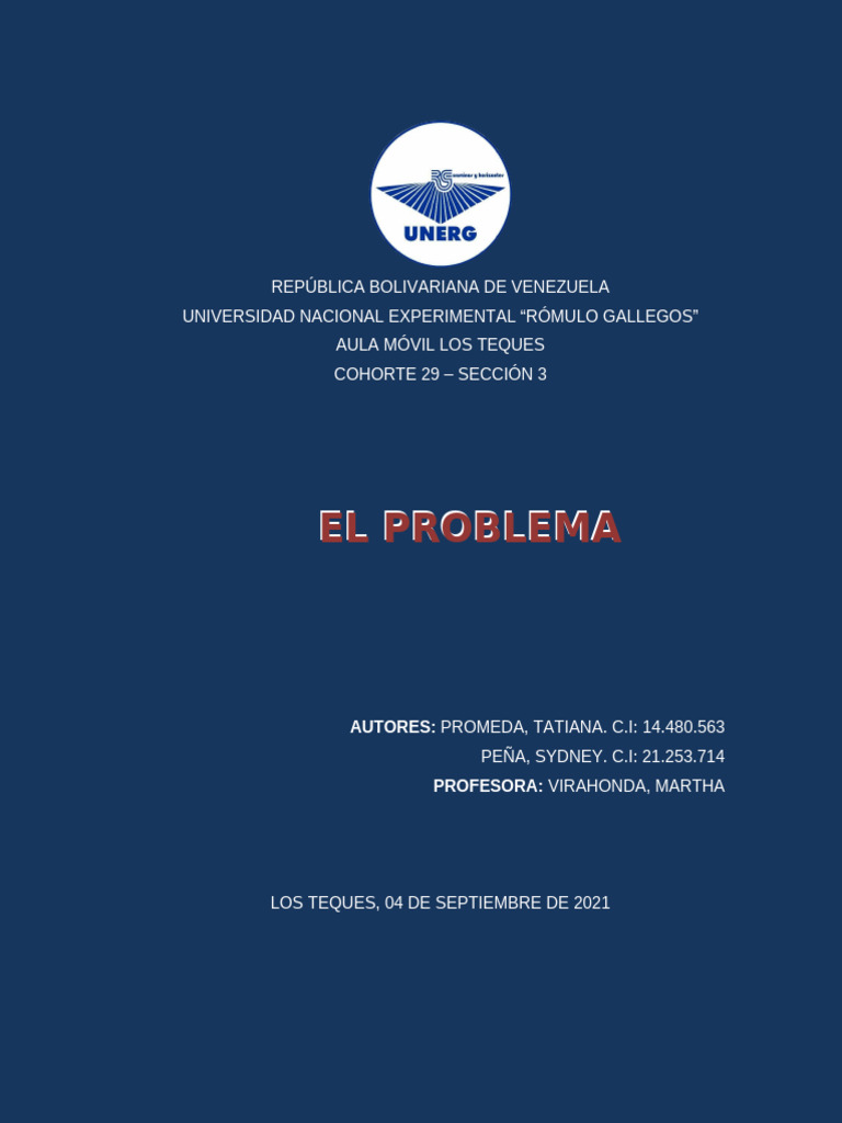 Infografia - El Problema | PDF