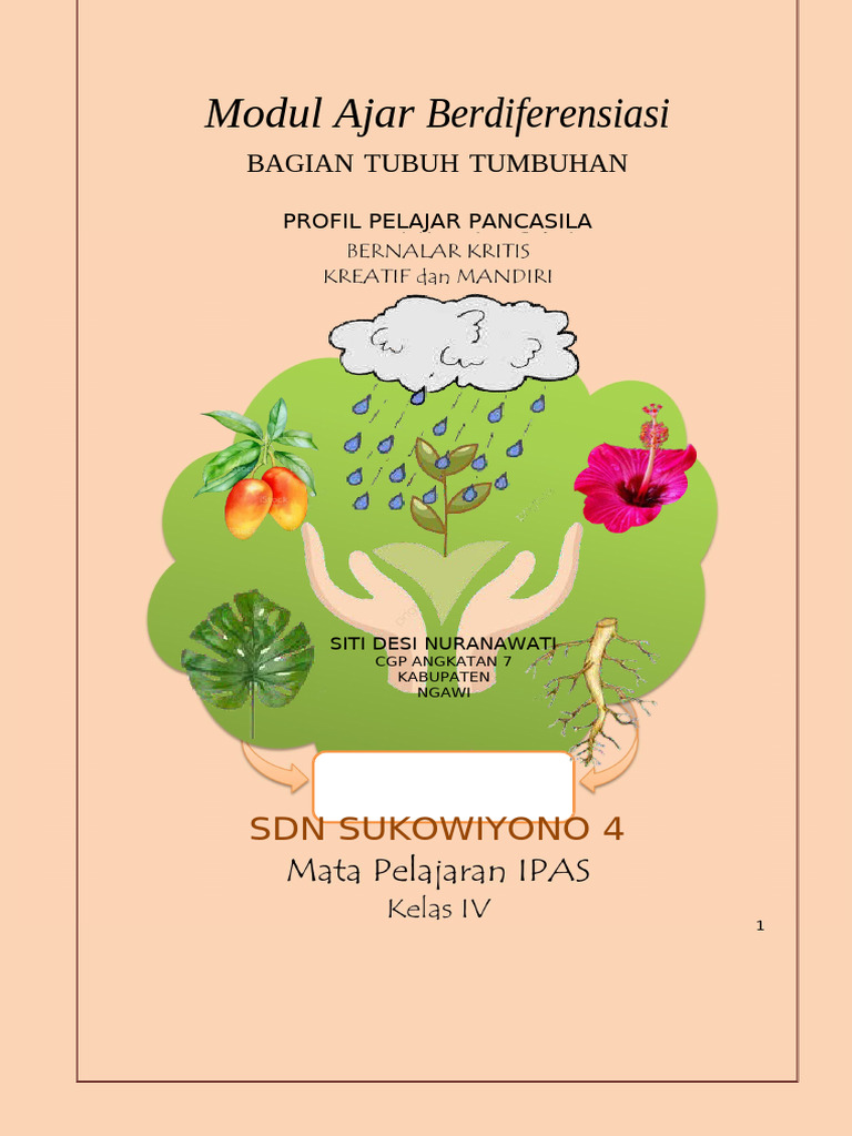 Modul Ajar Berdiferensiasi | PDF