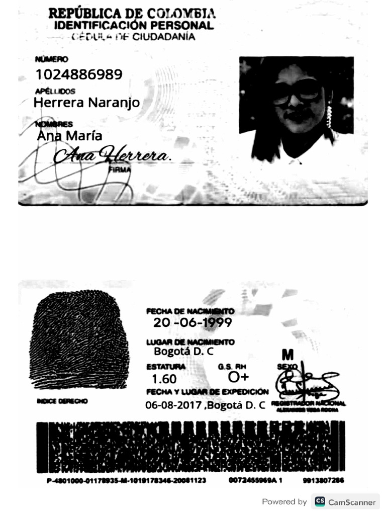 Andrea Herrera | PDF