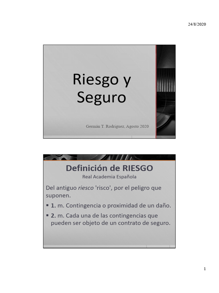 Riesgo y Seguro (2020) | PDF