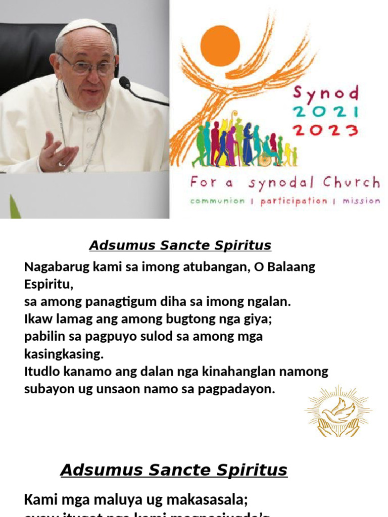 Vicariate Synodal Orientation Full Process | PDF