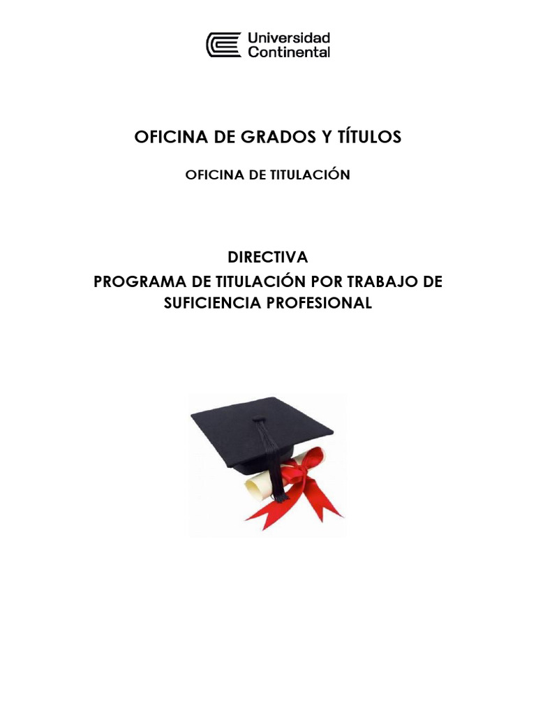 A. Directiva - Programa de Titulación Por TSP | PDF | Negocios