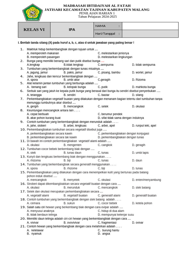 UH.TEMA 1 IPA 6 2024 | PDF