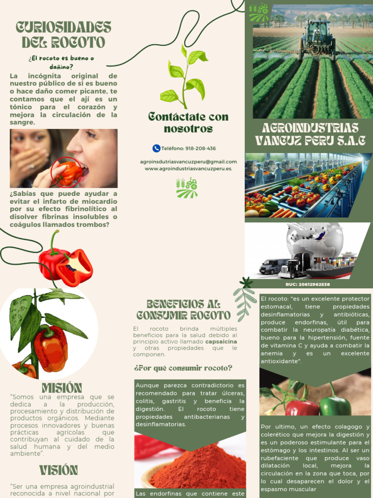 TR Ptico Vancuz-Peru | PDF