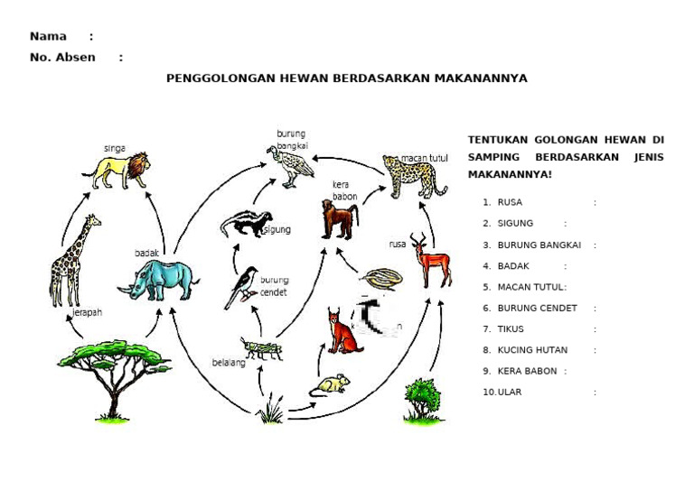 Penggolongan Hewan Berdasarkan Makanannya | PDF
