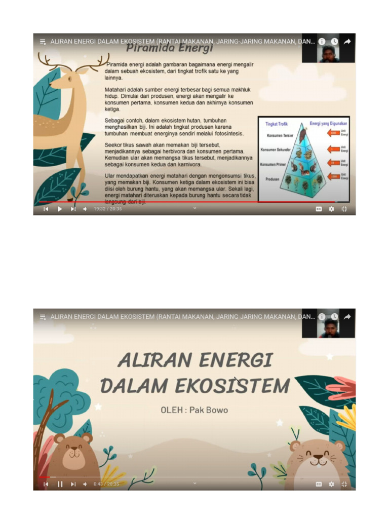 Aliran Energi Dalam Ekosistem | PDF