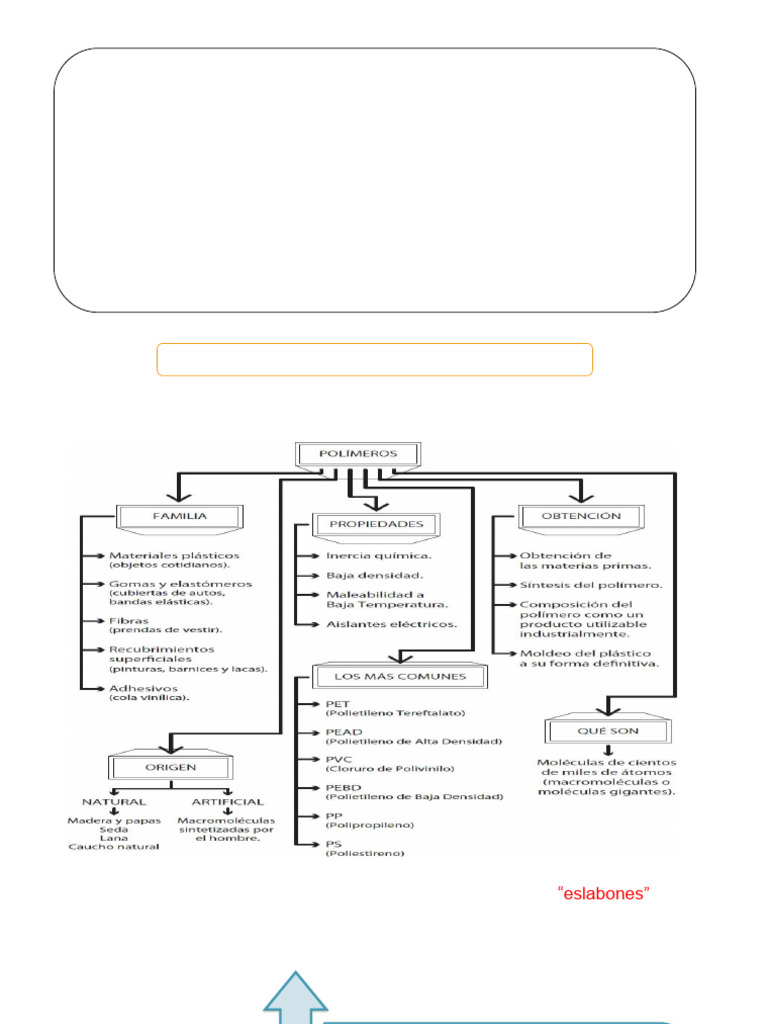S12. Biopolimeros-2024 | PDF