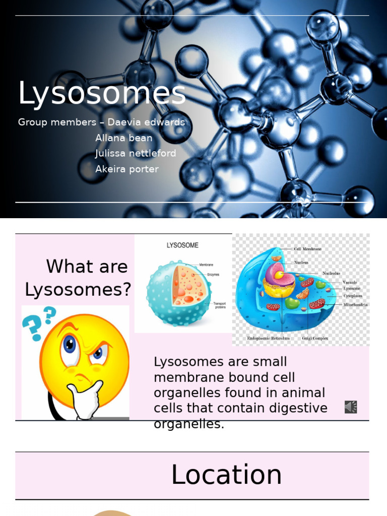 Lysosomes (1) | PDF