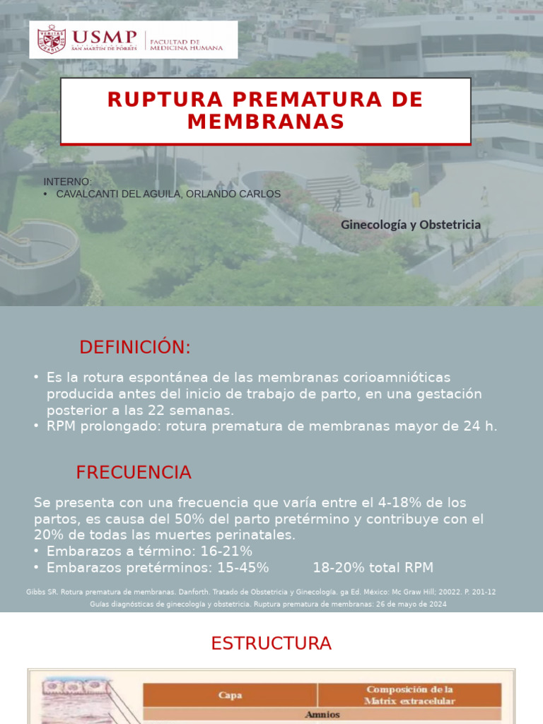 RPM | PDF