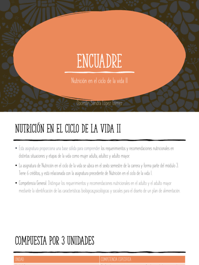 Encuadre | PDF