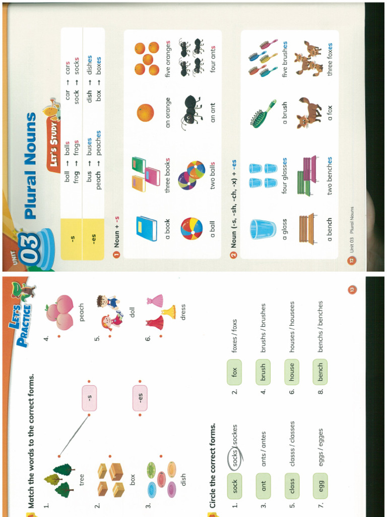 Rule 20-21 Plural Nouns - Grammar Hit Starter 1-2 | PDF